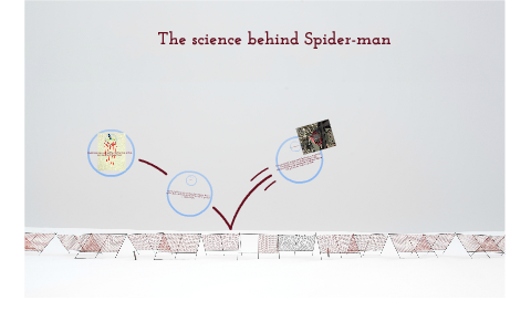 The science behind Spider-man. by Rayyan Khan on Prezi