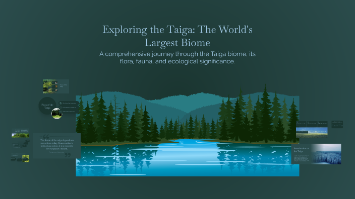 Exploring the Taiga: The World's Largest Biome by nicole * on Prezi