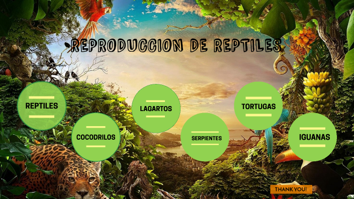 REPRODUCCION DE REPTILES by Azucena Rosa on Prezi