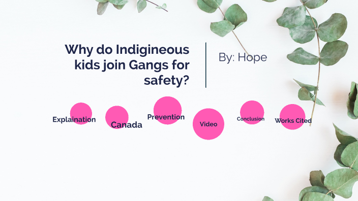 indigenous gangs by Hope Cappuccitti on Prezi
