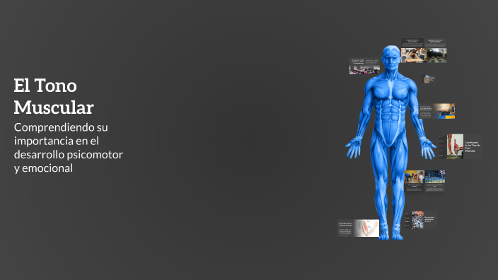 El Tono Muscular by NAYELI SAMANIEGO on Prezi