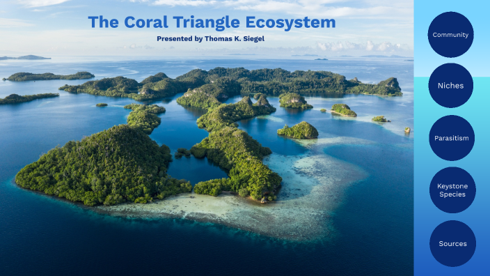 The Coral Triangle by Thomas Siegel on Prezi