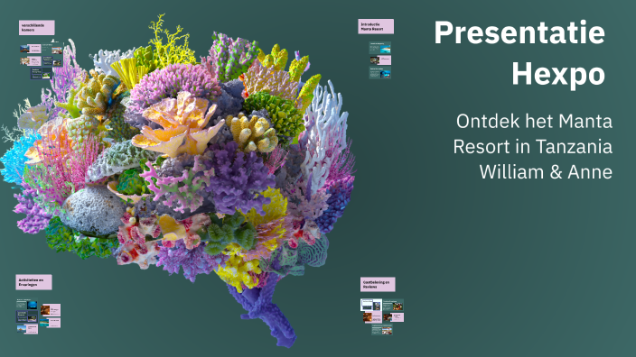 Presentatie Hexpo by Anne Hart on Prezi