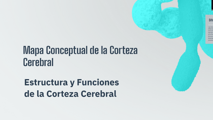 Mapa Conceptual De La Corteza Cerebral By Carlos Alejandro Valle Freire