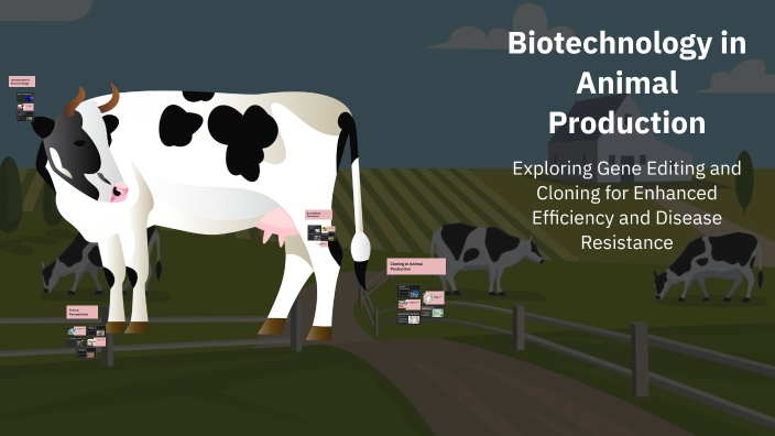 Biotechnology in Animal Production by Ricamiel Toting on Prezi