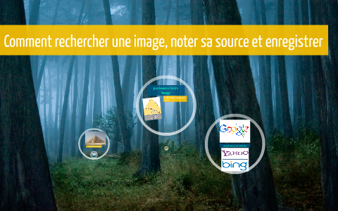 Comment noter la source d'une image by Carpentier Catherine on Prezi