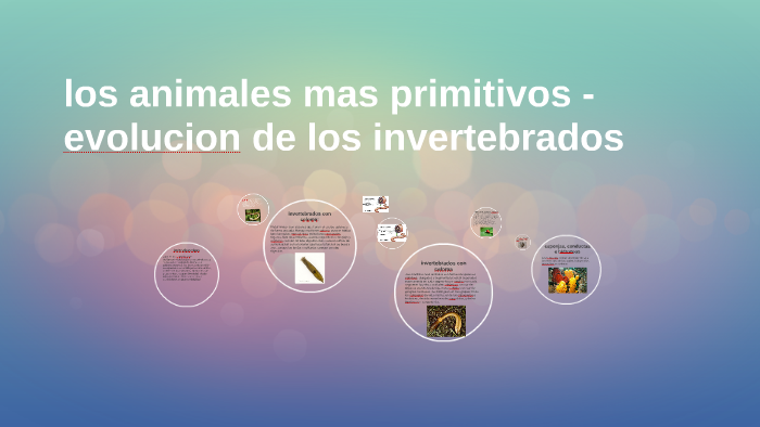 los animales mas primitivos - evolucion de los invertebrados by julieth ...