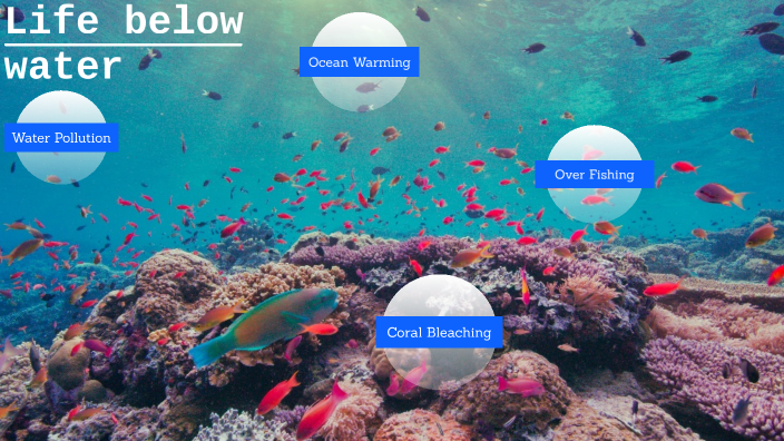 14 Sdg's life below water by Samarth Santhosh on Prezi