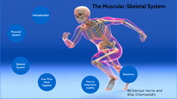 The Muscular Skeletal System by Daniyal Harris on Prezi