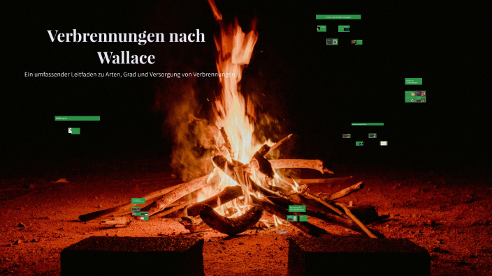 Verbrennungen nach Wallace by Daria Haak on Prezi