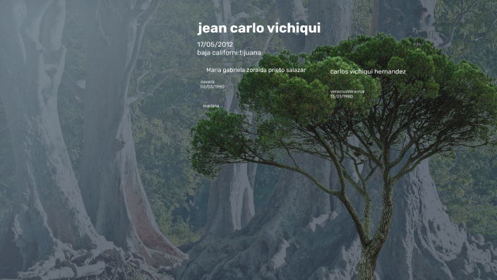 My Family Tree by JEAN CARLO VICHIQUI - PRIETO on Prezi