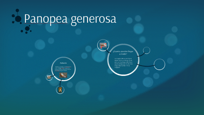Panopea generosa by espiler21 espiler21 on Prezi