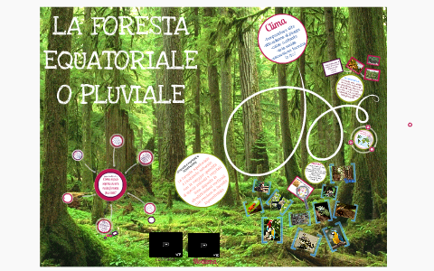 Foresta pluviale o equatoriale by Didi Simonetti