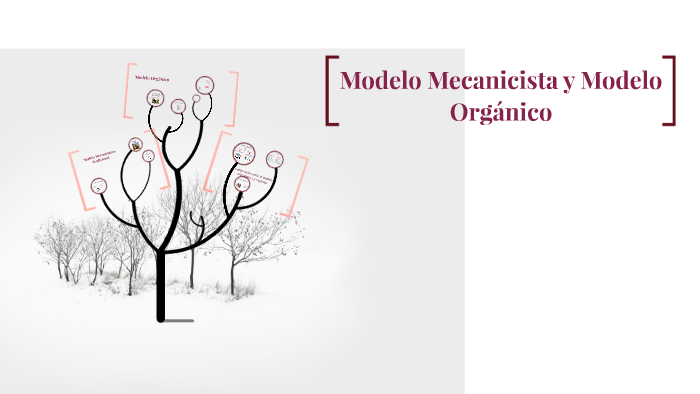 Modelo Mecanicista y Modelo Orgánico by Bely Robalino on Prezi