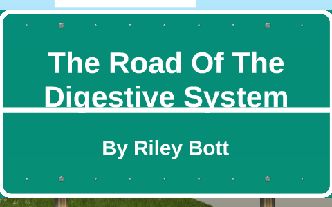The Road Of The Digestive System by Riley Bott on Prezi