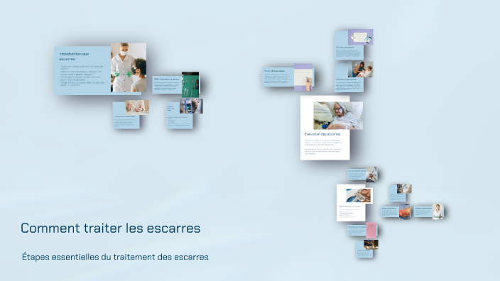 Comment traiter les escarres by Albin Halter on Prezi