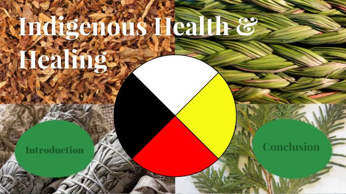 Indigenous medicine by Eden Armstrong on Prezi