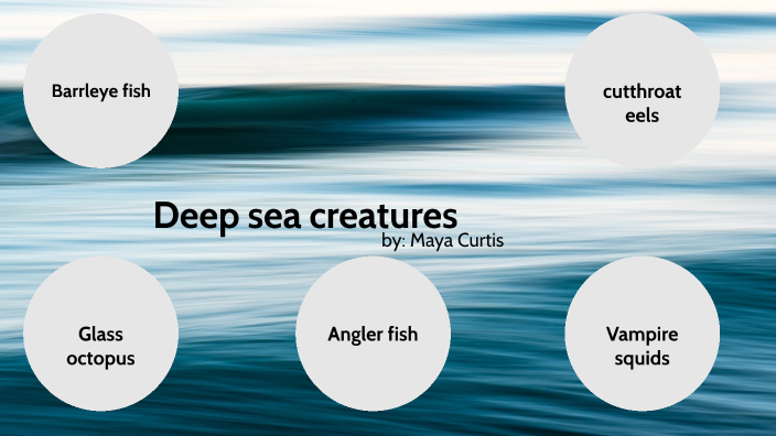 deep sea creatures by Maya Curtis on Prezi