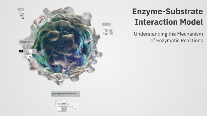 Enzyme-Substrate Interaction Model by Tezzsocool on Prezi