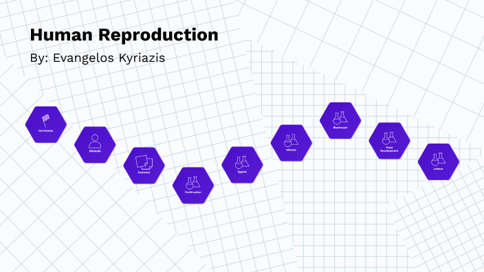 How Humans Reproduce by on Prezi