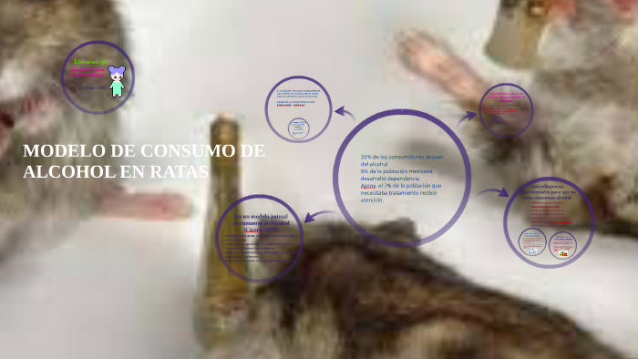 MODELO DE CONSUMO DE ALCOHOL EN RATAS by DANAE CONTRERAS on Prezi