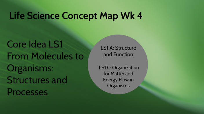 Life Science Concept Map Wk 4 by Cristy Silva on Prezi