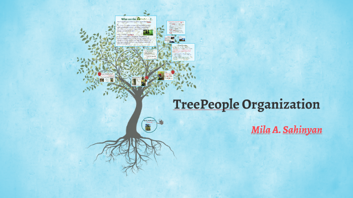 Social Innovation-Treepeople: Sustainability & Our Future by Mila A ...