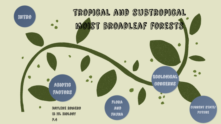Biome Project by daylene romero on Prezi