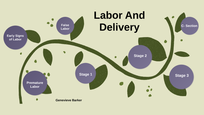 Labor And Delivery Concept Map by genevieve barker on Prezi