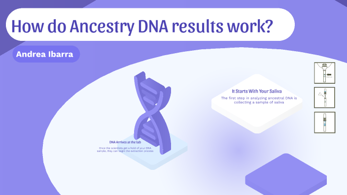 How Ancestry DNA Works by Andrea ibarra on Prezi