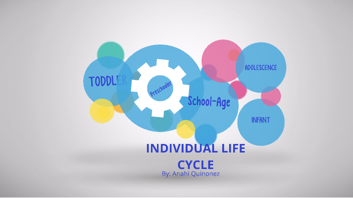 Individual life cycle by ANAHI QUINONEZ on Prezi