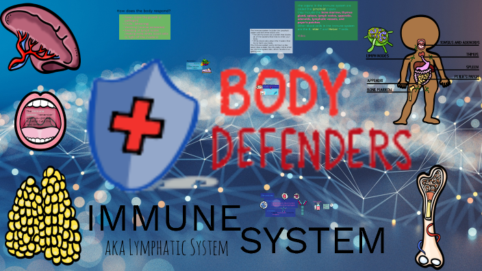 Immune System by Rachel Calhoun on Prezi