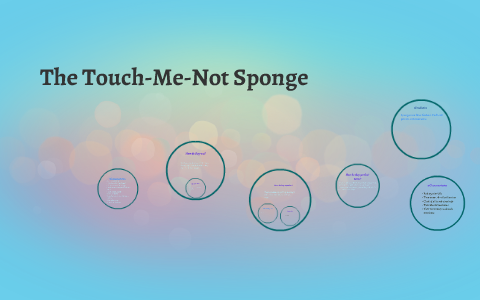 The Touch-Me-Not Sponge by Morgan Fullerton on Prezi