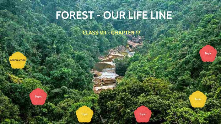 FOREST - OUR LIFE LINE by latha_ 7675 on Prezi