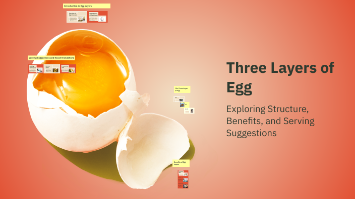 Three Layers of Egg by SARA Dicang on Prezi