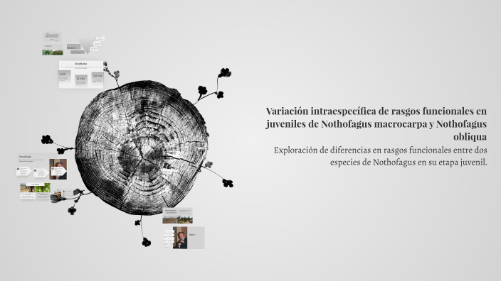 Variación intraespecífica de rasgos funcionales en juveniles de ...