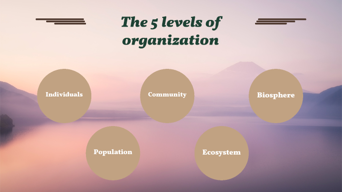 5 levels of organization by Abbey Rex on Prezi