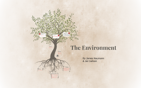 The Environment by james naumann on Prezi