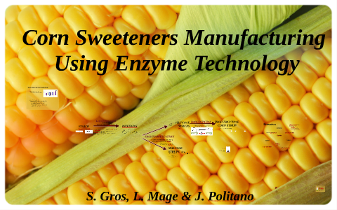 Corn Sweeteners Manufacturing using Enzyme Technology by on Prezi