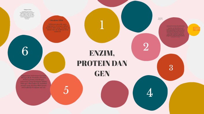 enzim protein dan gen by waode sariani on Prezi