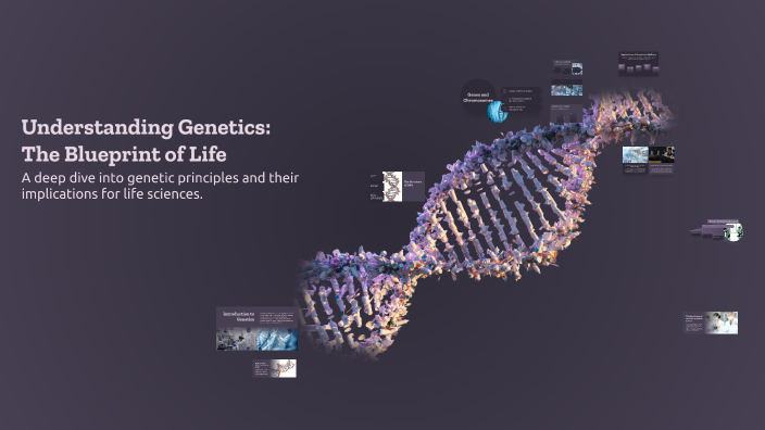 Understanding Genetics: The Blueprint of Life by Bhagat SINGH on Prezi