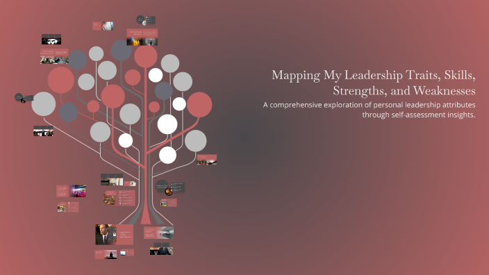 Mapping My Leadership Traits, Skills, Strengths, and Weaknesses by ...