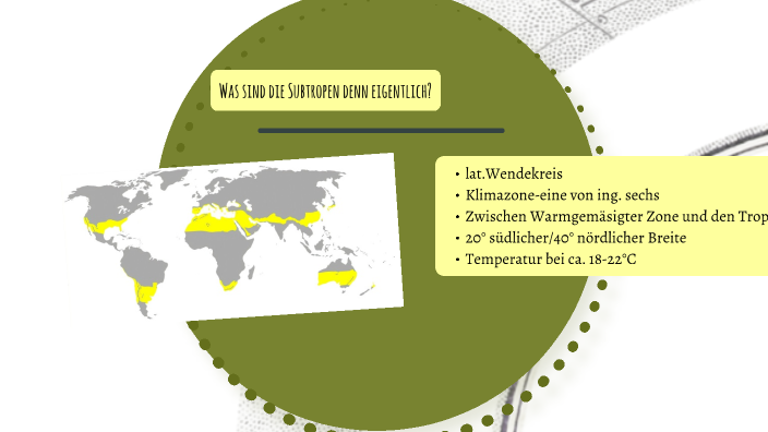 Subtropen by Paula Fellner on Prezi