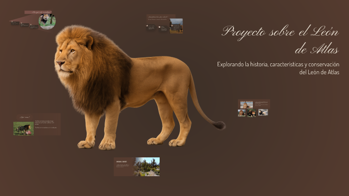 Proyecto sobre el León de Atlas by Dani Barrajón Bernal on Prezi
