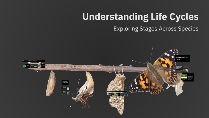 Understanding Life Cycles by Laurie Bellis on Prezi