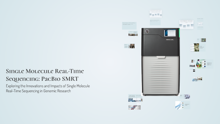 Single Molecule Real-Time Sequencing: PacBio SMRT by hajar ahmouine on ...