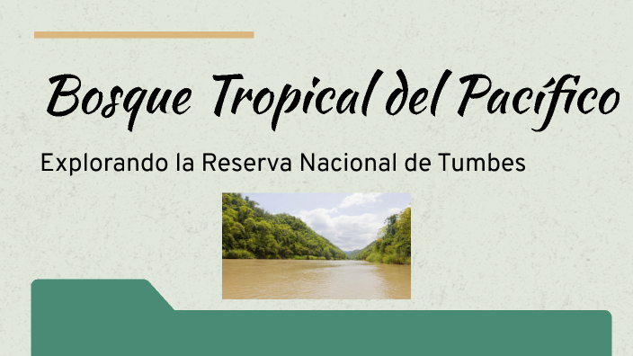 Bosque Tropical del Pacífico by Valeria S. Trillo on Prezi