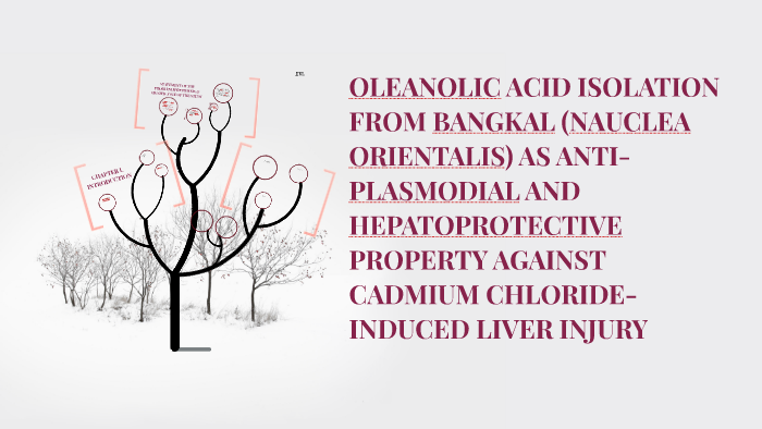 OLEANOLIC ACID ISOLATION FROM BANGKAL (NAUCLEA ORIENTALIS) A by Jericho ...