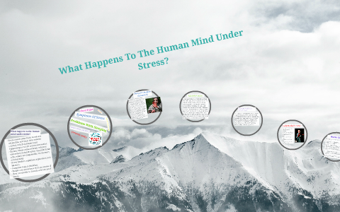 Macbeth and Stress Analysis by Priya Patel on Prezi