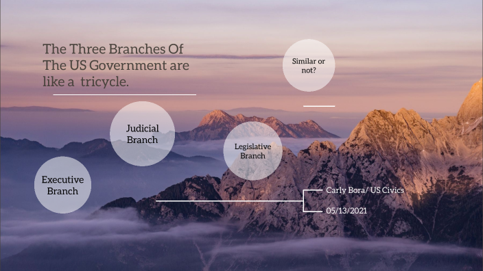 The Three Branches of The US Government are like a tricycle by Carly ...
